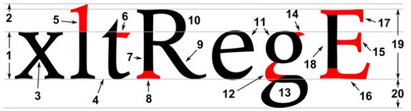 Typography: Anatomy of a Letterform