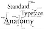 Typography: Anatomy of a Letterform - Designmodo