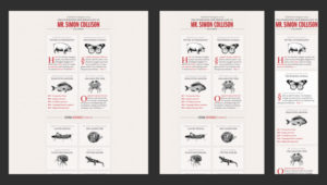 Responsive Web Design: 50 Examples and Best Practices - Designmodo