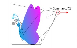 How to Transform and Duplicate Objects in Adobe Illustrator