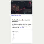 Create an E-Commerce Web Element with CSS3