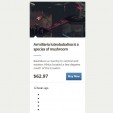 Create an E-Commerce Web Element with CSS3