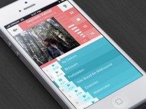 Pocket your music: Good Examples of Music-related Mobile App Designs