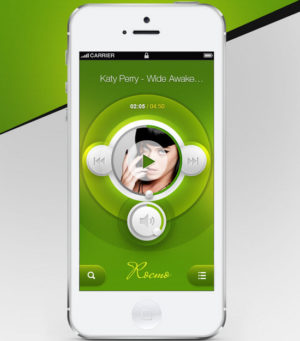 Pocket your music: Good Examples of Music-related Mobile App Designs