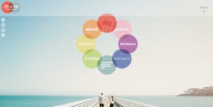 Use of Transparency in Website Design, Examples