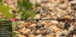 Use of Transparency in Website Design, Examples