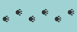 How to Use steps() in CSS Animations