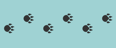 How to Use steps() in CSS Animations