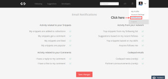 Codepad: A New Way of Saving and Sharing Code Snippets