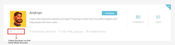 Codepad: A New Way of Saving and Sharing Code Snippets | Pixelbell