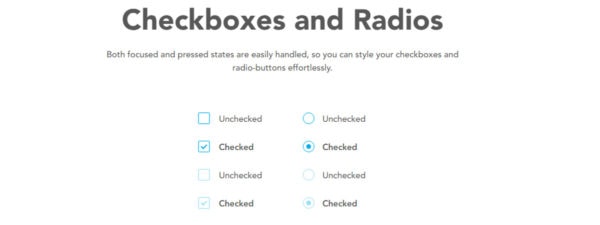 Best Free JS Libraries for Custom Radios & Checkboxes - Designmodo