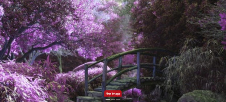 Bootstrap Carousel Guide: Examples and Tutorials - Designmodo