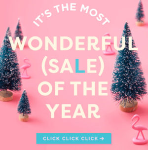 Examples of 11 Magical Winter Email Newsletters with Tips & Tricks