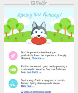 7 Spring Email Newsletter Ideas, Tips, Vivid Examples and More