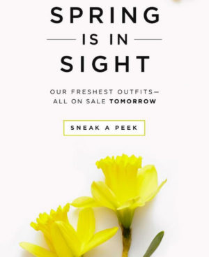 7 Spring Email Newsletter Ideas, Tips, Vivid Examples and More