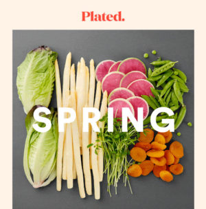 7 Spring Email Newsletter Ideas, Tips, Vivid Examples and More