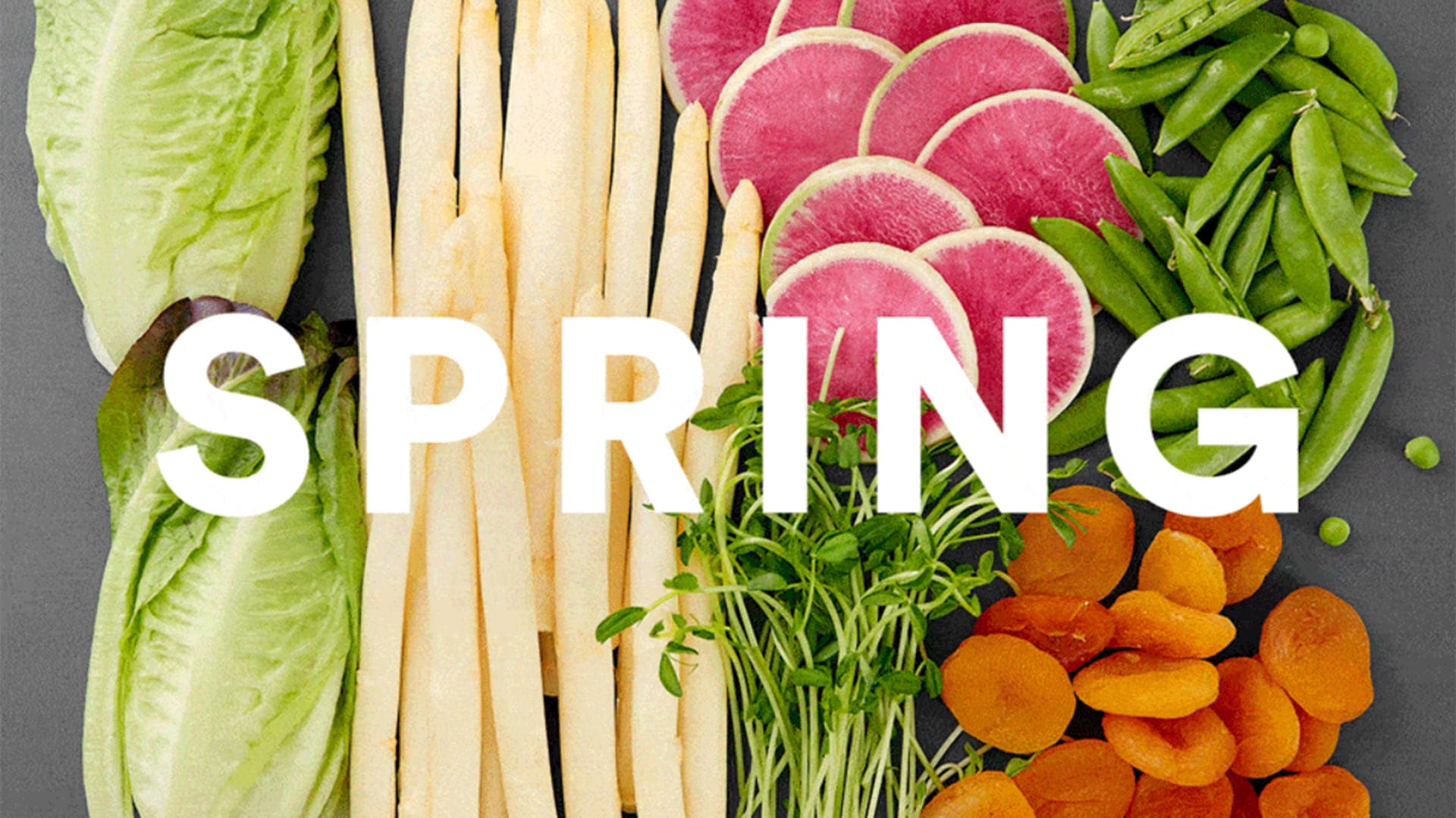 Web Design, Development and Email Marketing Blog - Designmodo