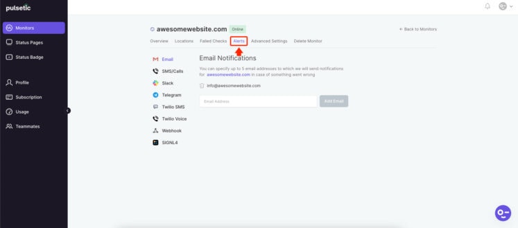 How to Get Website Down Alerts in Realtime