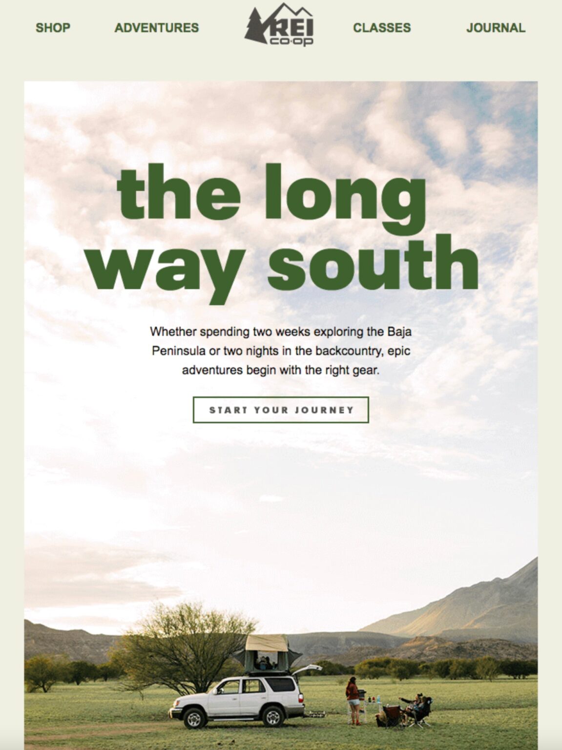 Summer Email Newsletter Ideas and Examples for 2025