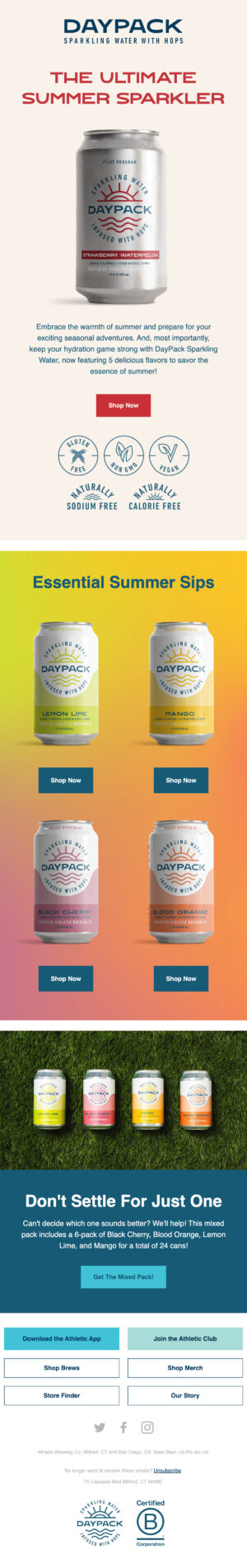 Summer Email Newsletter Ideas and Examples for 2025