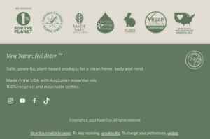 Email Footer Design Examples with Actionable Tips Guide