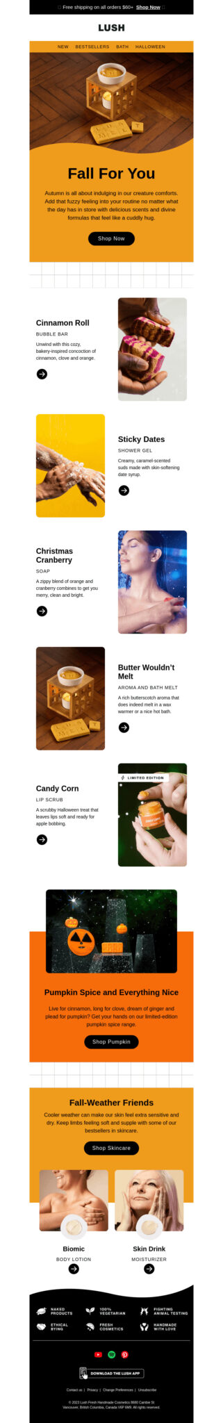 Fall Email Newsletter Ideas and Examples for 2025