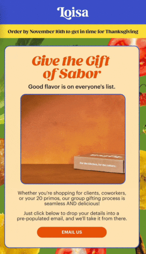 How to Create and Add Animation GIF in Email Newsletters