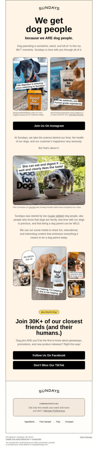 January Newsletter Ideas and Examples for 2025