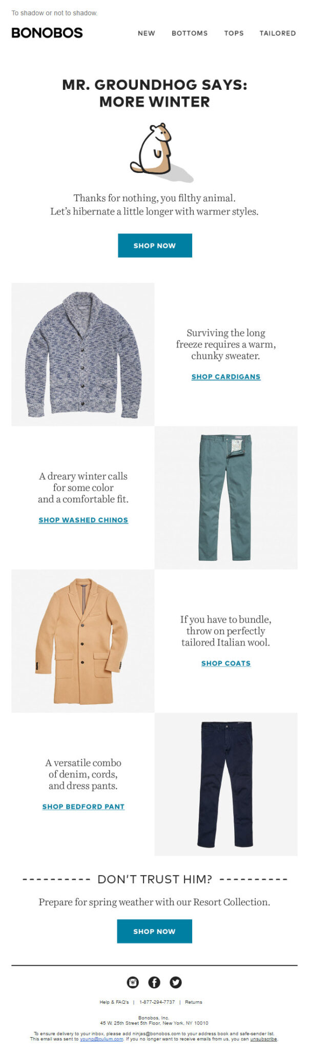 February Newsletter Ideas and Examples for 2025
