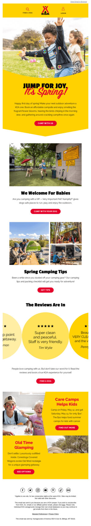 March Newsletter Ideas and Examples for 2025