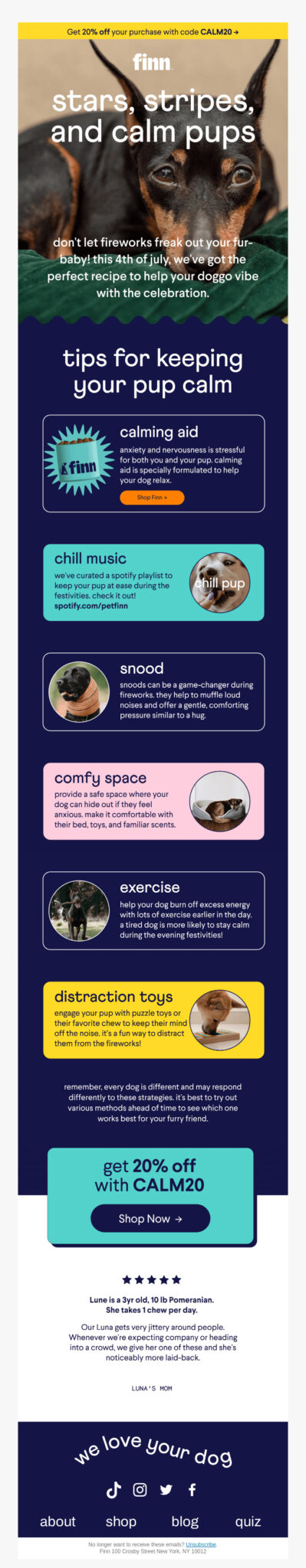 July Newsletter Ideas and Examples for 2024
