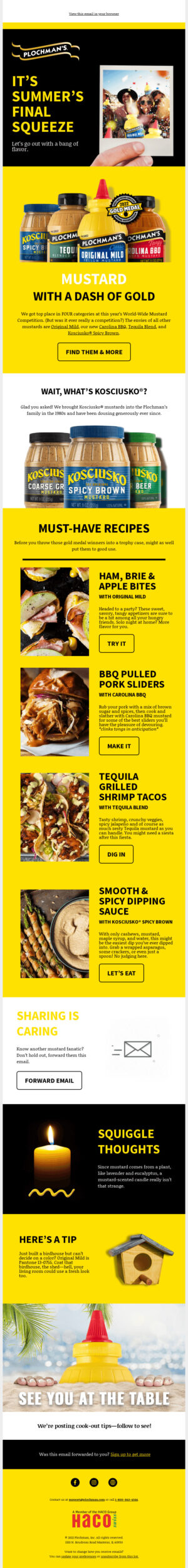 August Newsletter Ideas and Examples for 2024