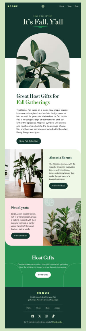 Fall Email Newsletter Ideas and Examples for 2025