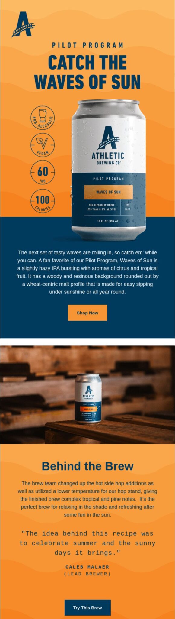 September Newsletter Ideas & 8 Examples to Skyrocket Sales