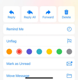 What Does Flagging an Email Do? Purpose and Benefits