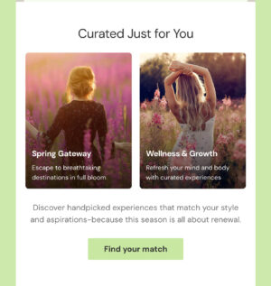 How to Choose the Right Email Template Size